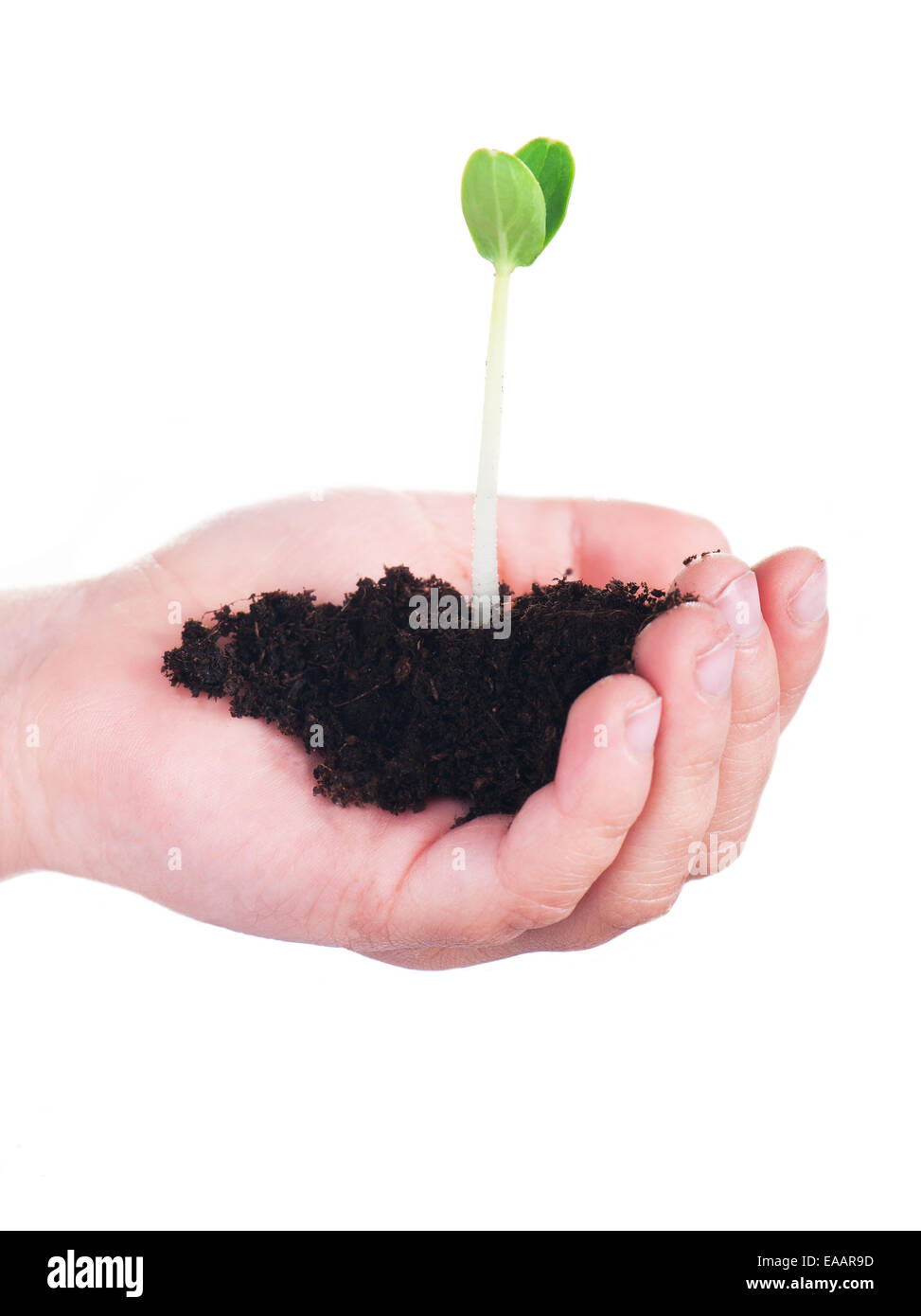 Hand of mercy hi-res stock photography and images - Alamy