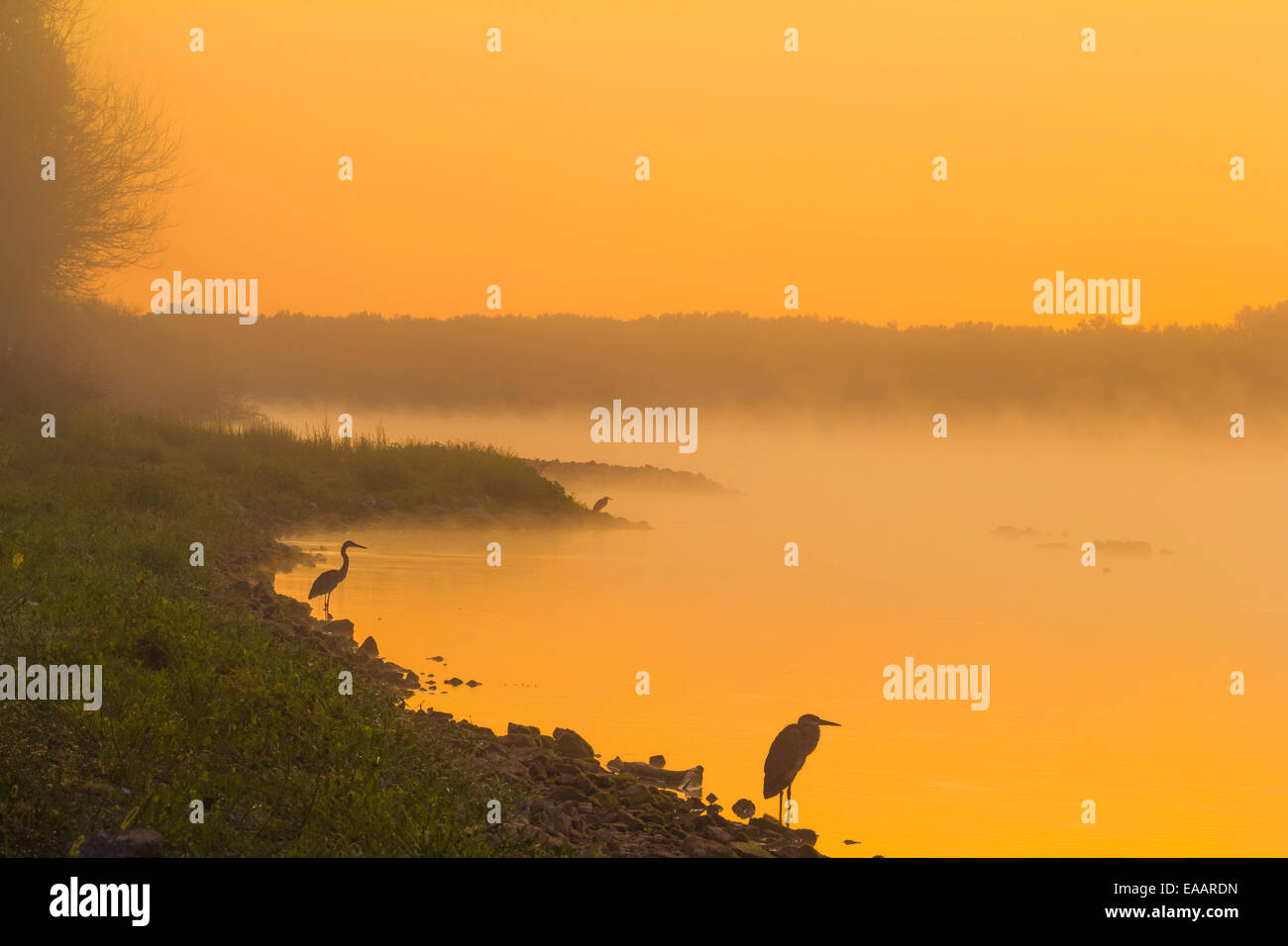 Foggy morning in the Loess Hills area of western Iowa Stock Photo - Alamy