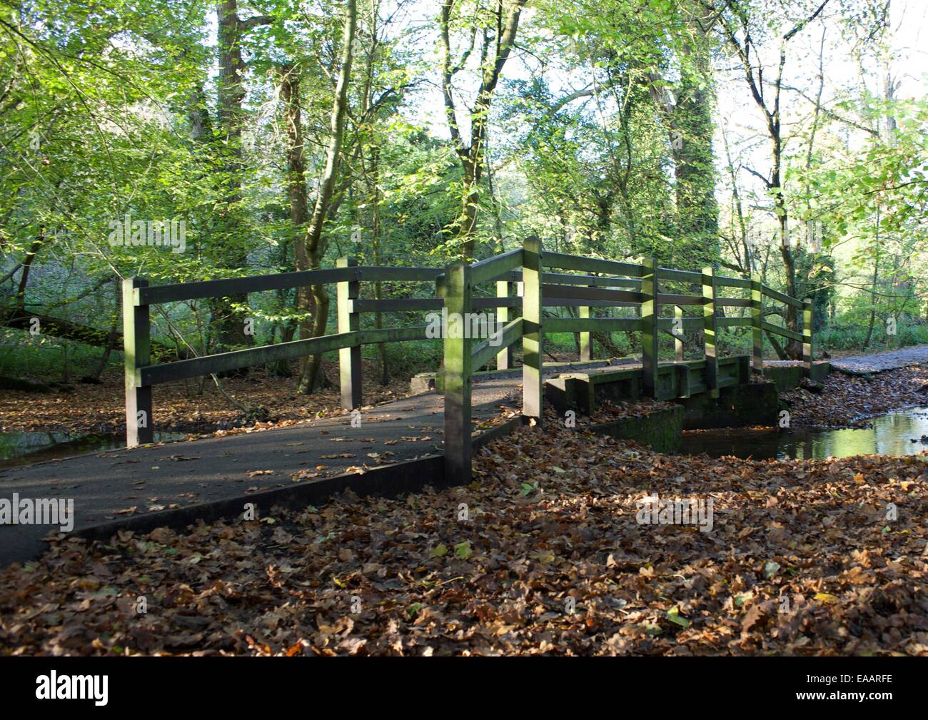 bridge over a brook Stock Photo - Alamy