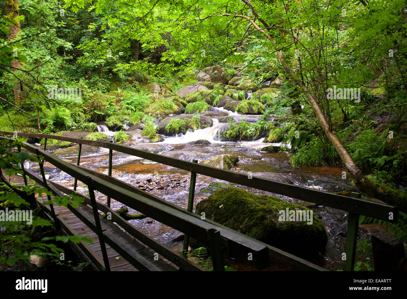 Wooden bridge over the river at Becky Falls in Dartmoor, England Stock ...