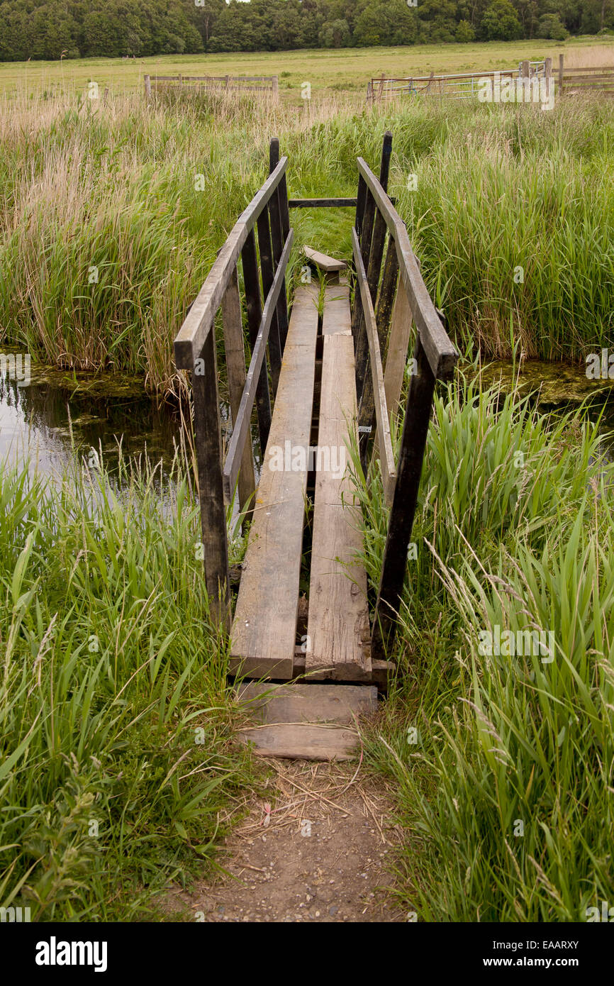 Decaying bridge hi-res stock photography and images - Alamy