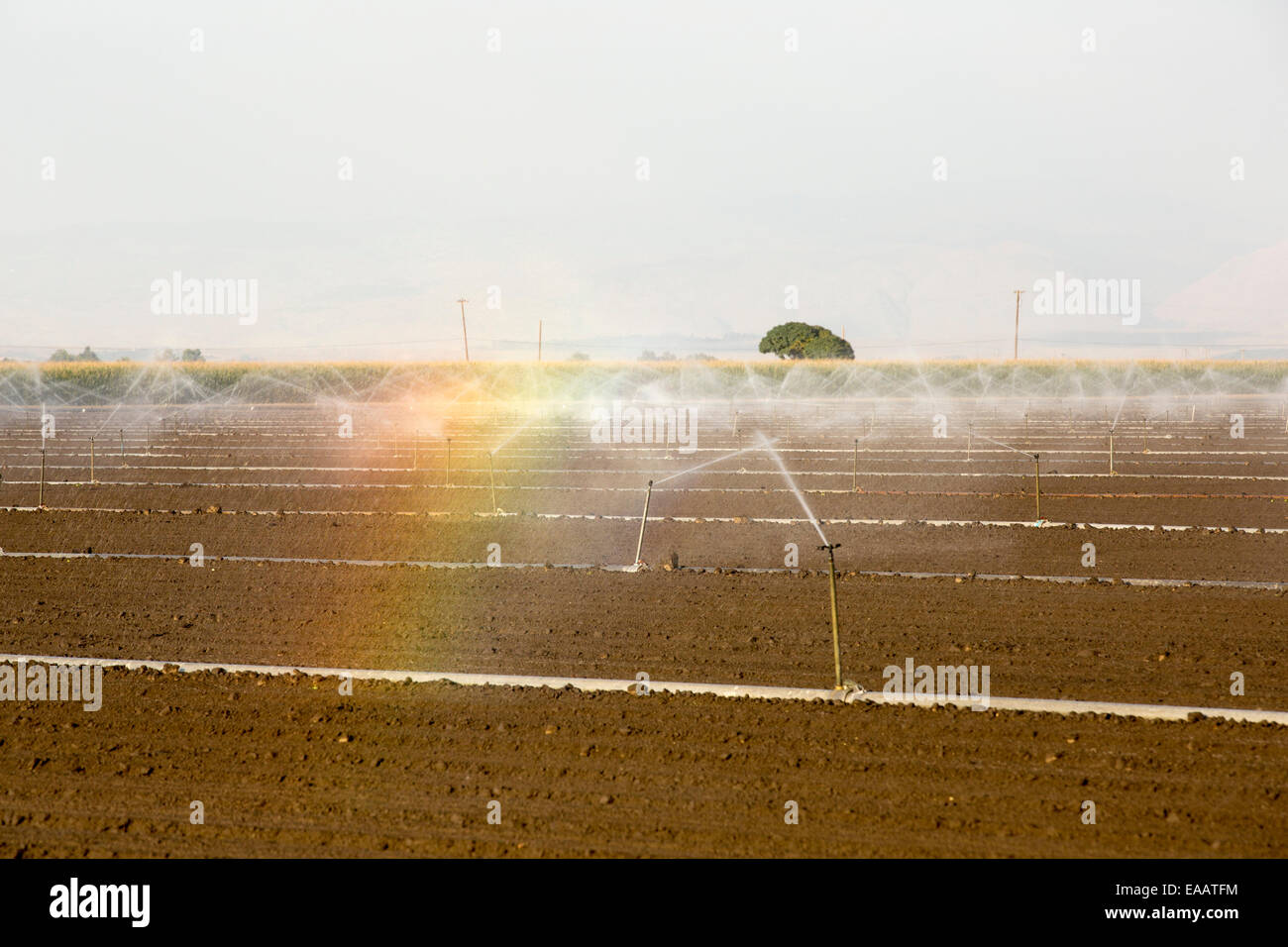Irrigating land in California's Central Valley, which is in the grip of ...