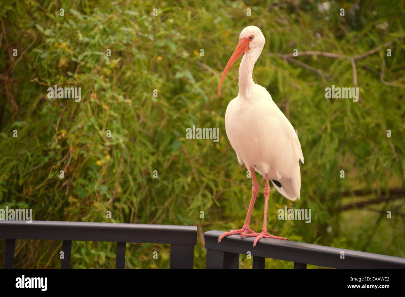 Things out of place hi-res stock photography and images - Alamy