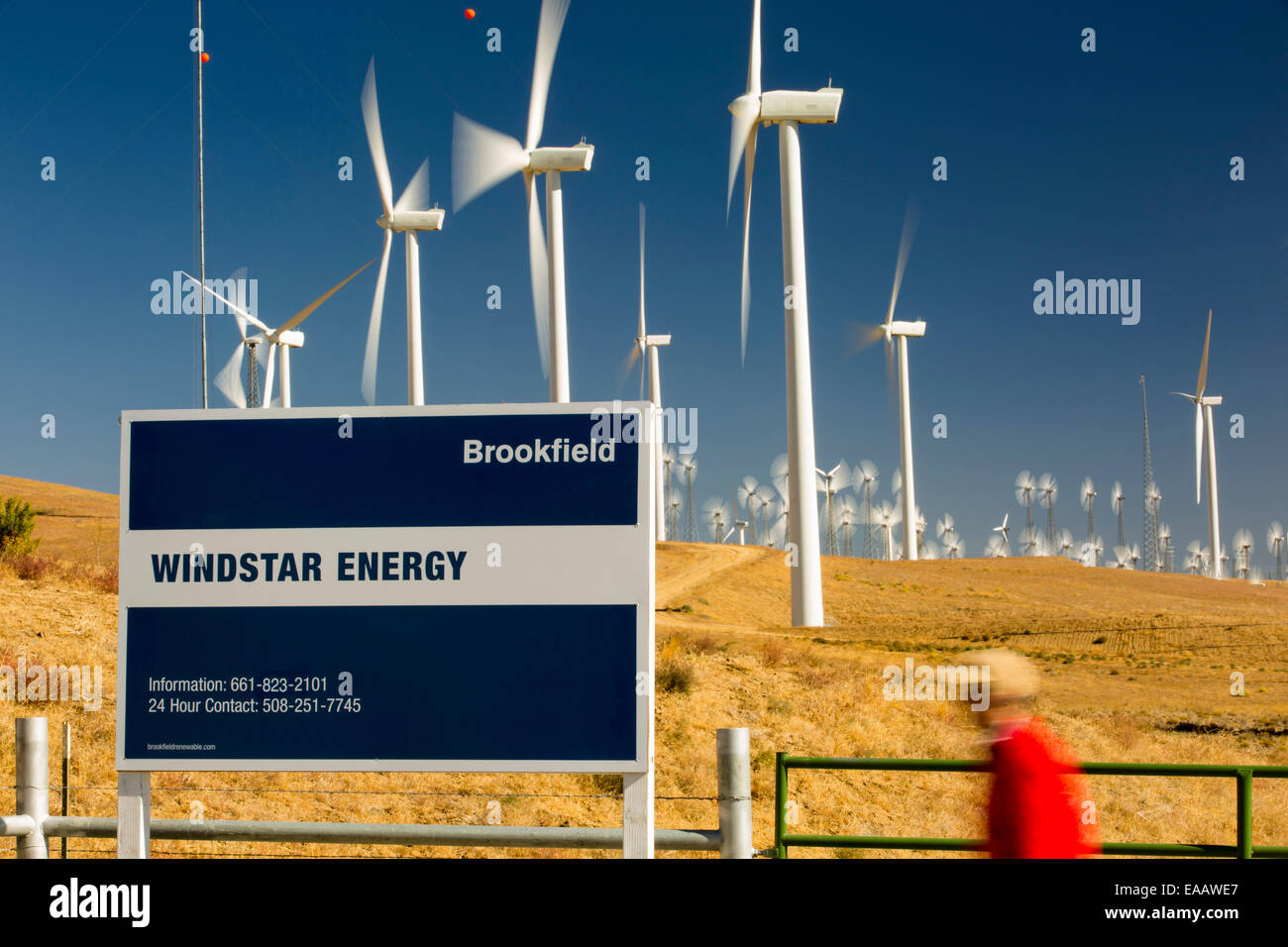 Part of the Tehachapi Pass wind farm, the first large scale wind farm ...