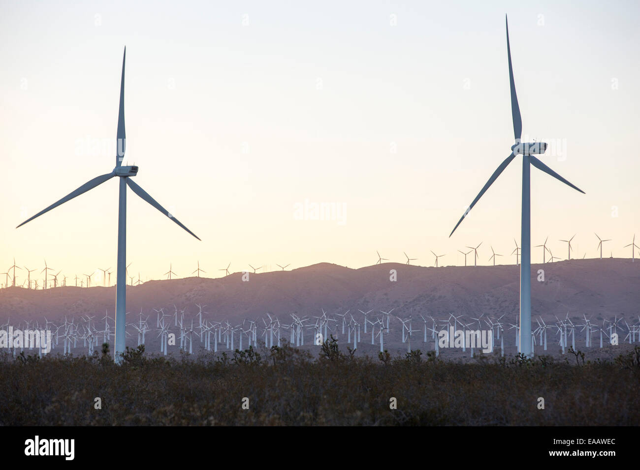 Part of the Tehachapi Pass wind farm, the first large scale wind farm ...