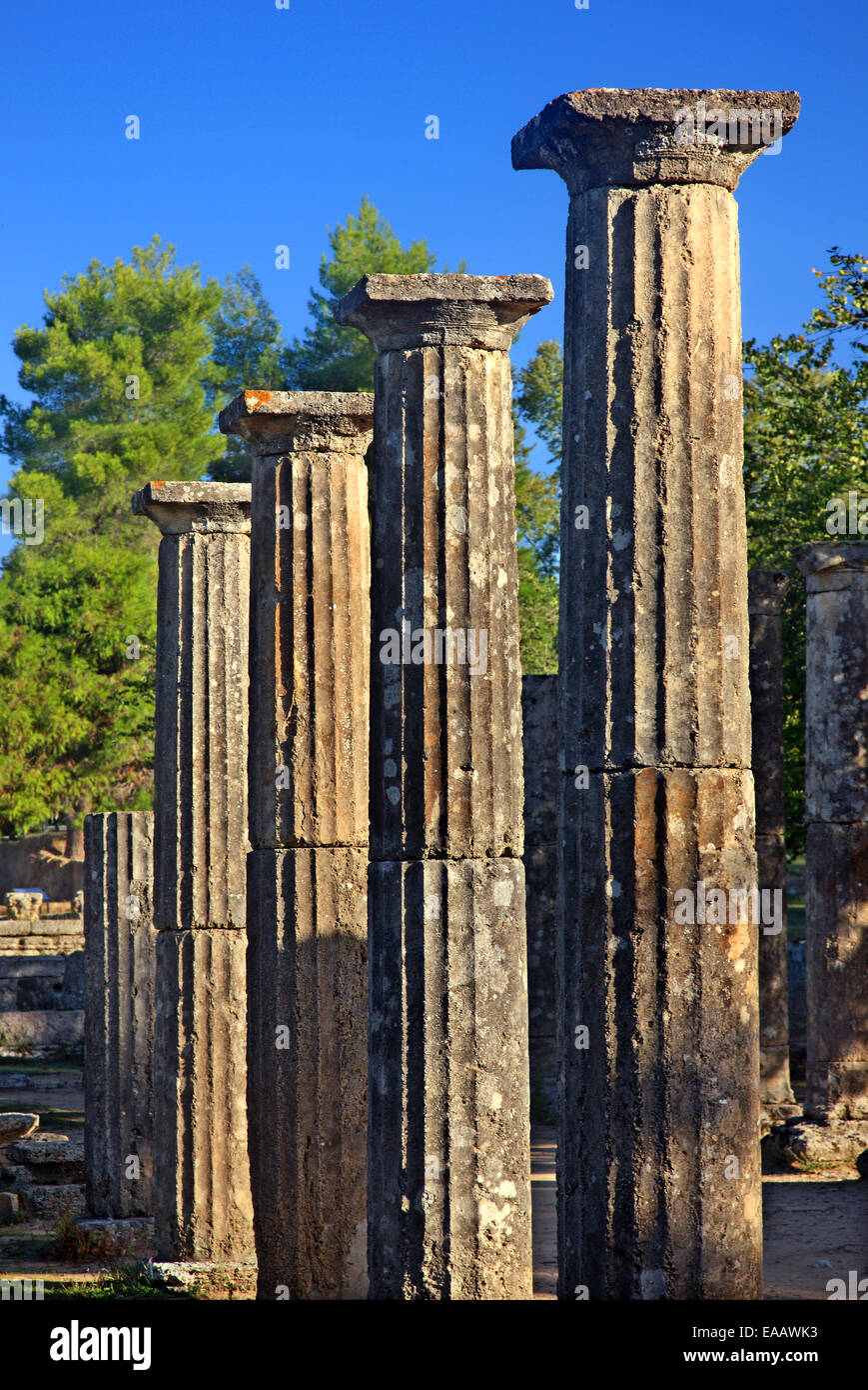"Detail" from the Palaestra at Ancient Olympia, the birthplace of the ...