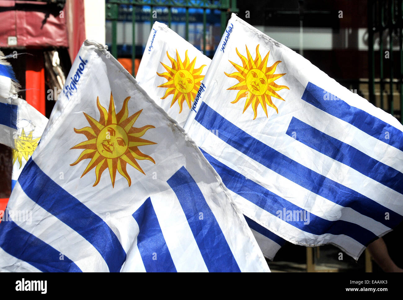 Creative Uruguay Flag