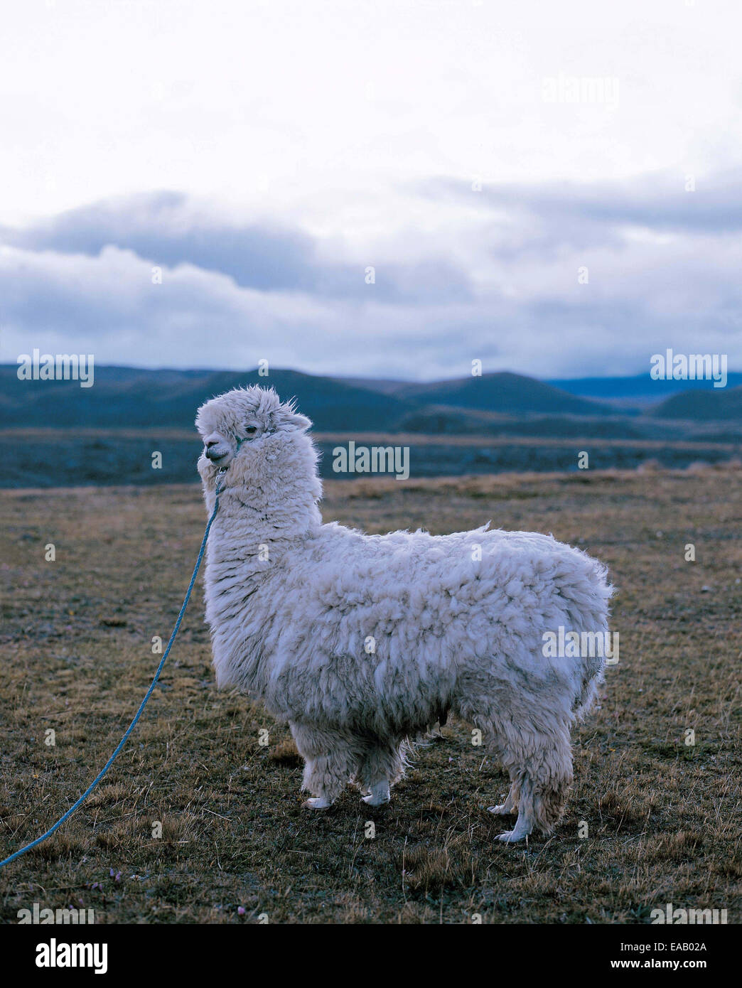 Altitude highlands hi-res stock photography and images - Alamy