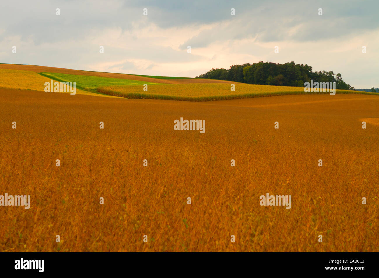 Colorful fall scenery landscapes Stock Photo - Alamy