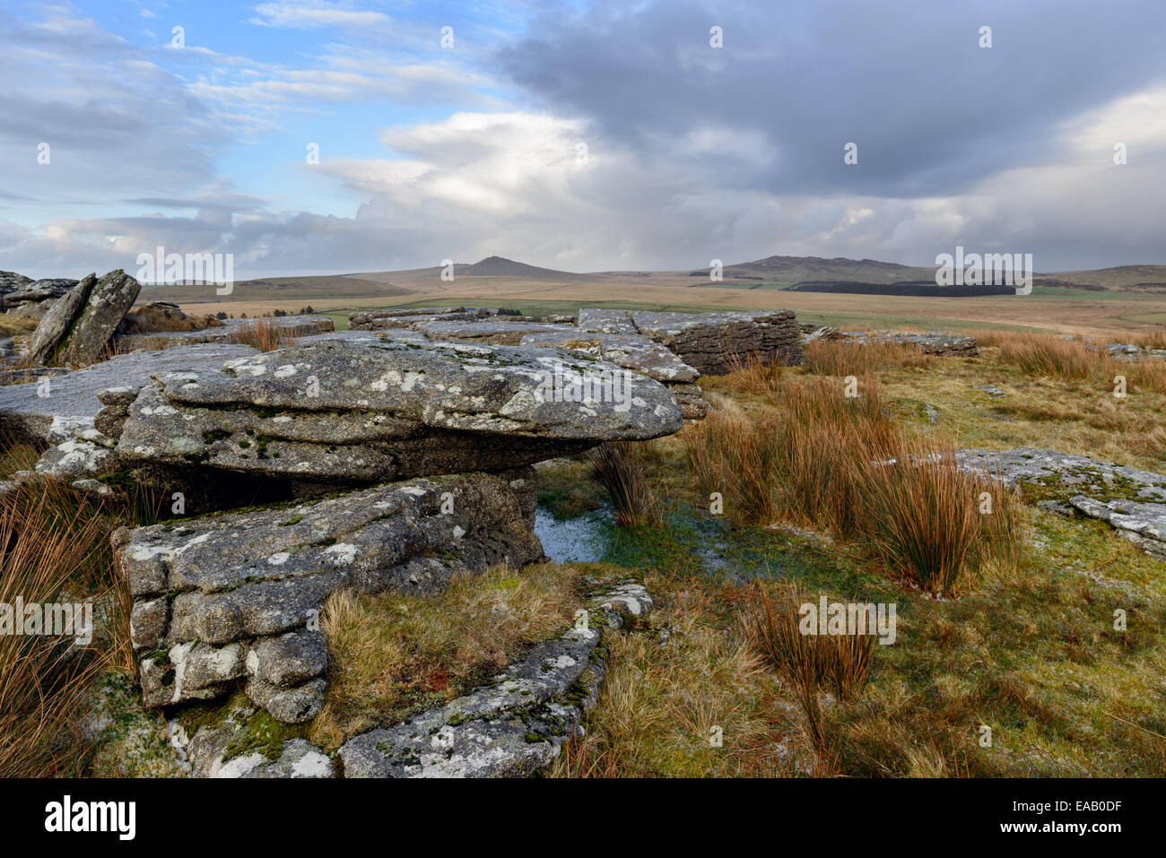 Alex stone hi-res stock photography and images - Alamy