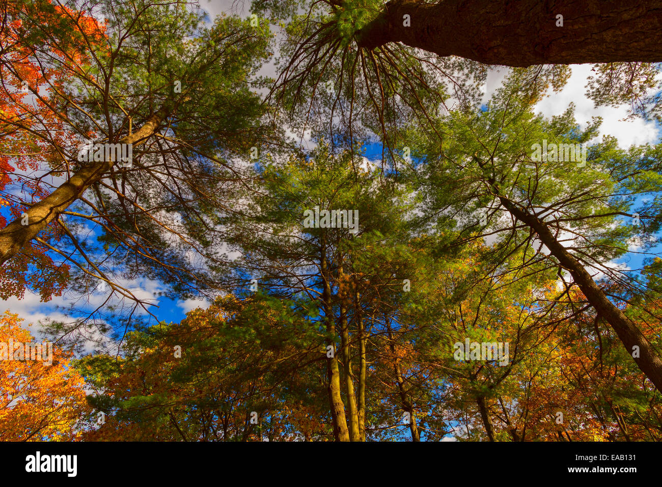 Colorful fall scenery landscapes Stock Photo - Alamy