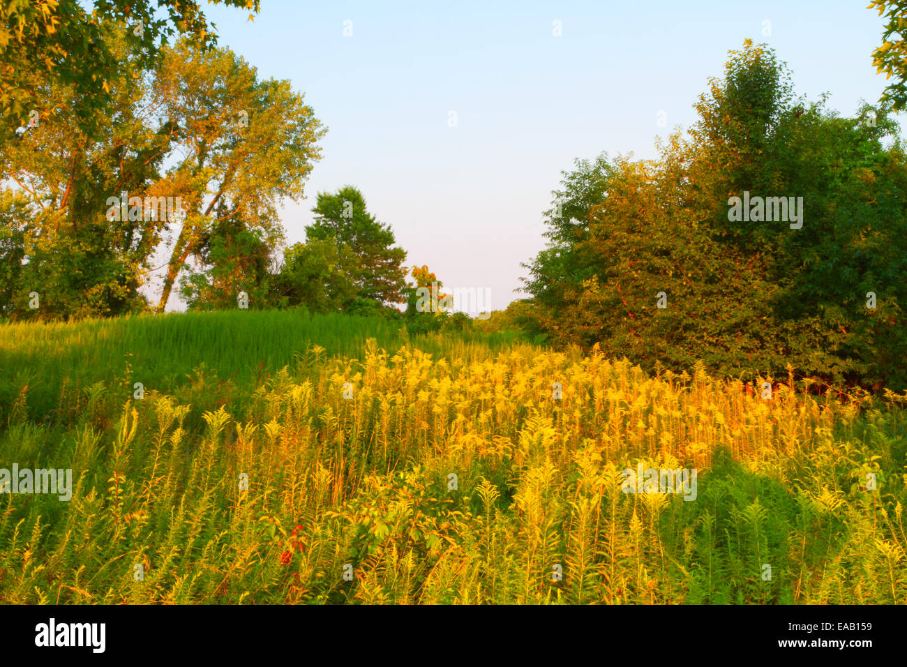 Colorful fall scenery landscapes Stock Photo - Alamy