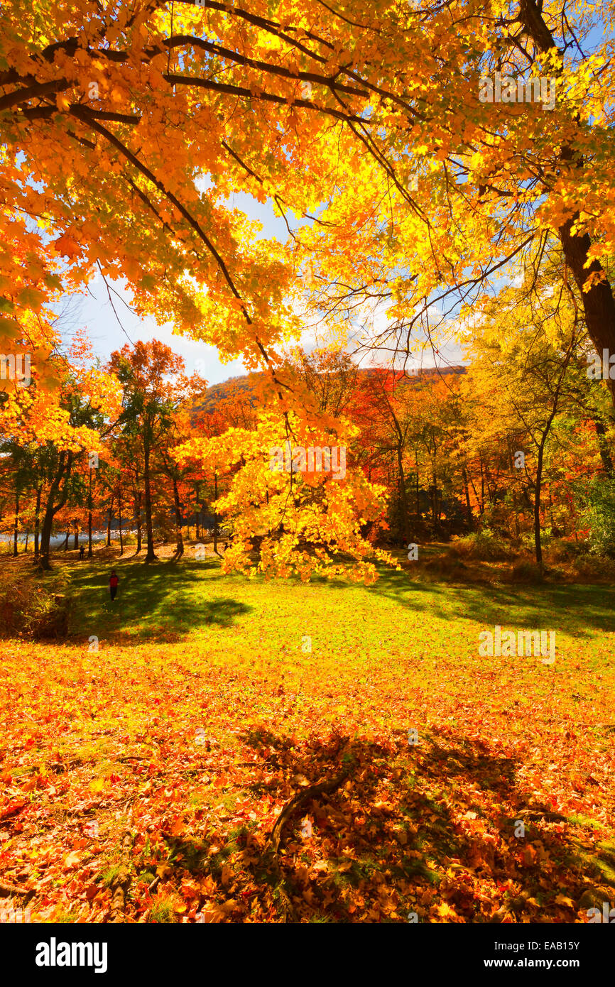 Colorful fall scenery landscapes Stock Photo - Alamy