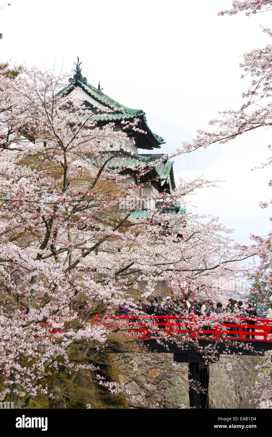 Hirosaki castle and cherry trees in Japan Stock Photo - Alamy