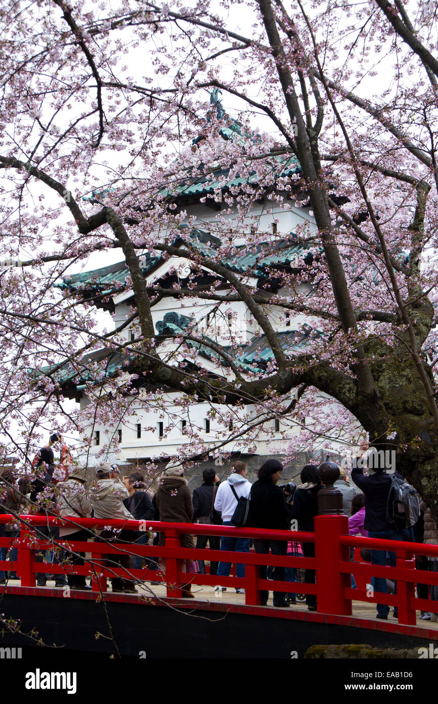 Hirosaki castle and cherry trees in Japan Stock Photo - Alamy