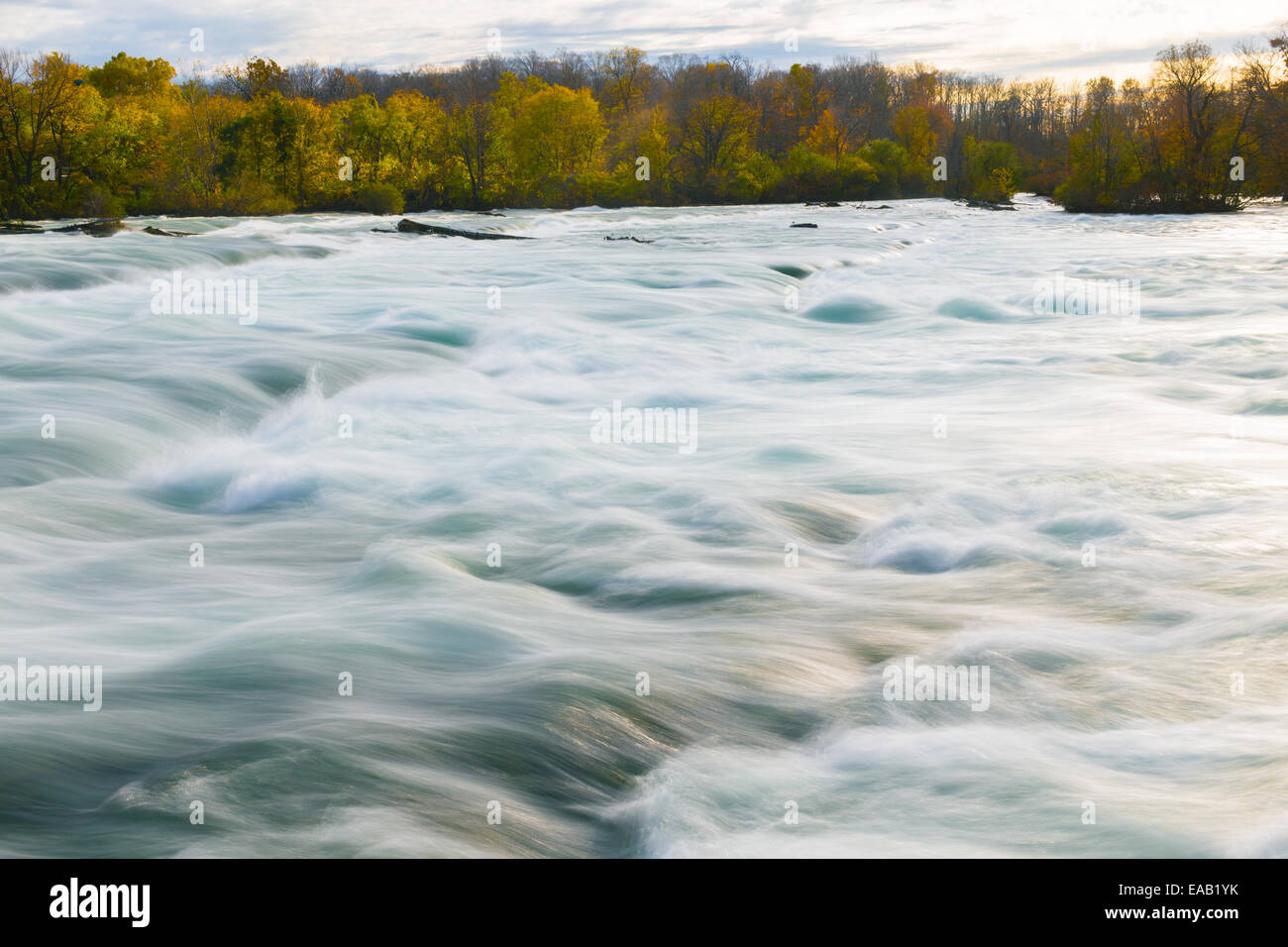 A fast flowing River with trees on the far side Stock Photo - Alamy
