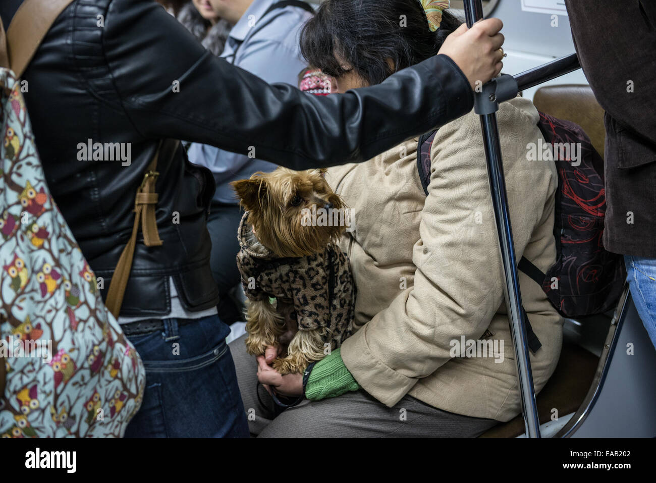 Underground Metro Subway Kiev Ukraine High Resolution Stock Photography ...