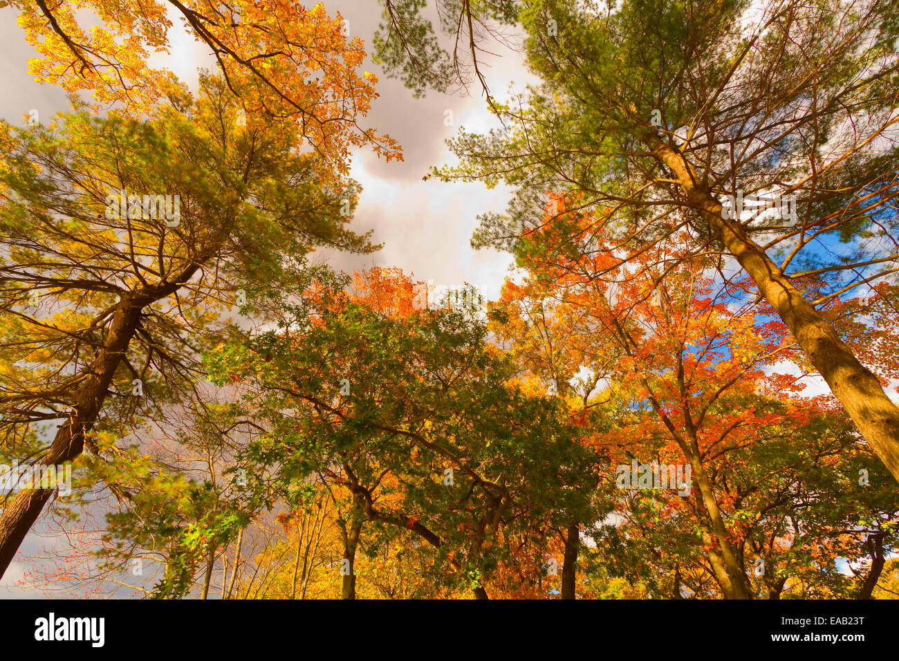 Colorful fall scenery landscapes Stock Photo - Alamy