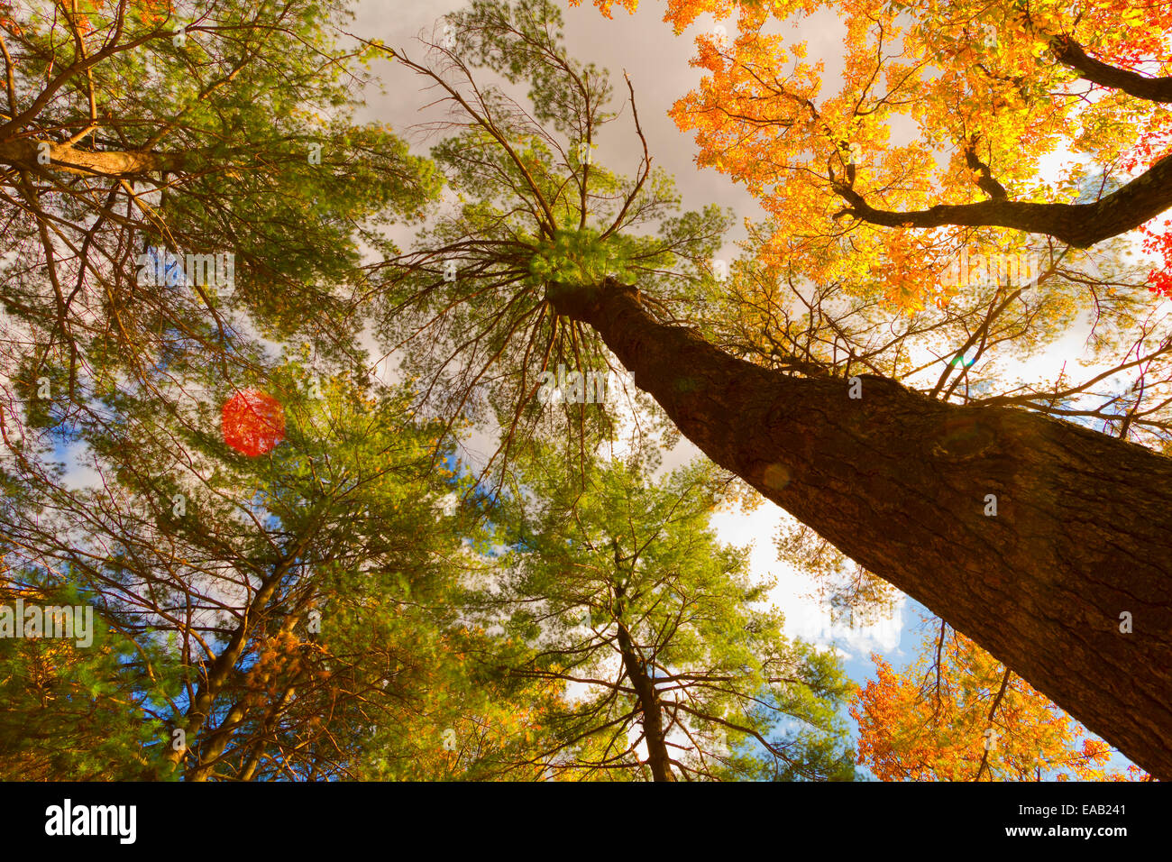 Colorful fall scenery landscapes Stock Photo - Alamy