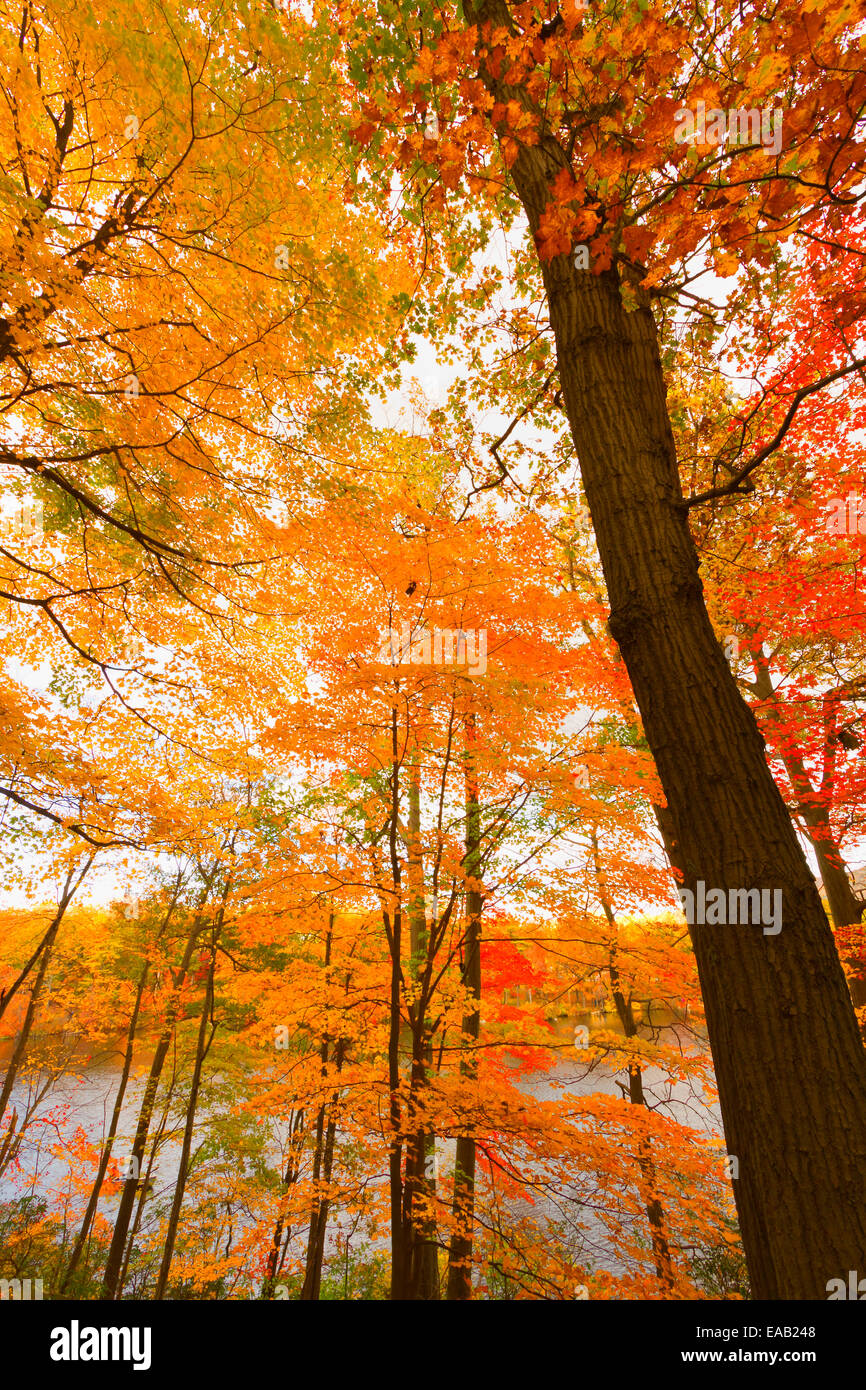 Colorful fall scenery landscapes Stock Photo - Alamy