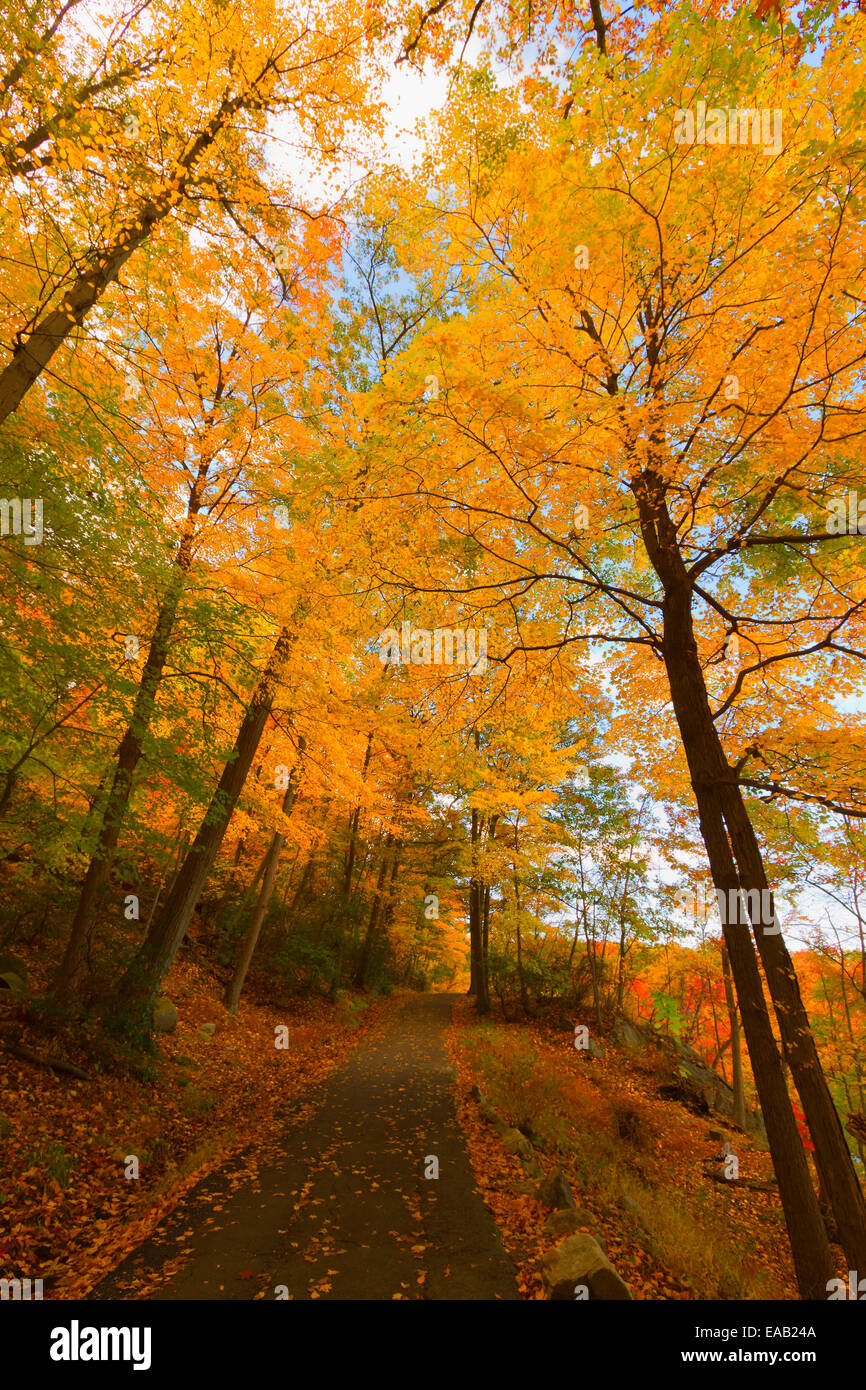 Colorful fall scenery landscapes Stock Photo - Alamy