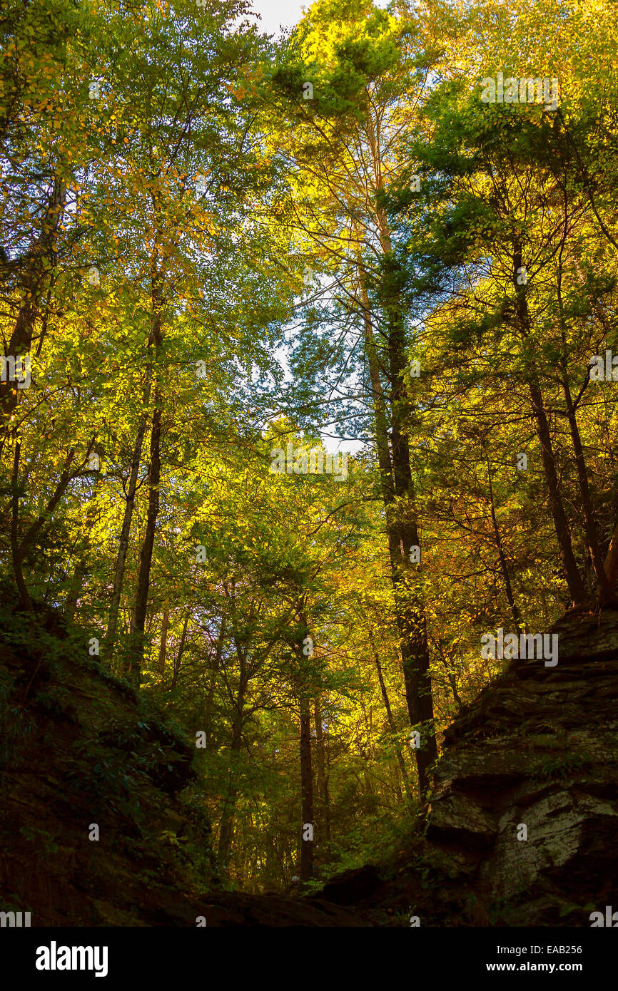 Colorful fall scenery landscapes Stock Photo - Alamy