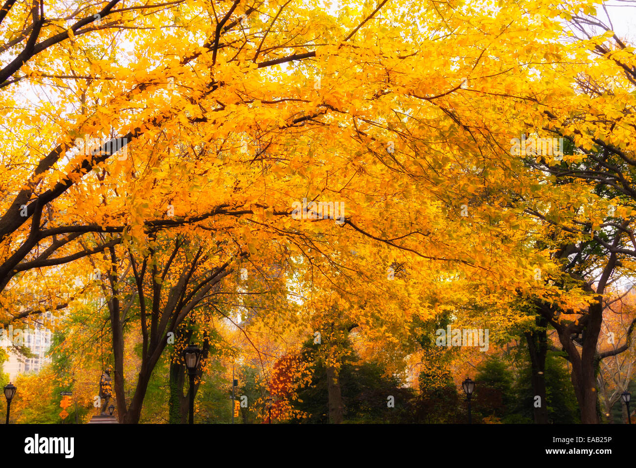 Colorful fall scenery landscapes Stock Photo - Alamy