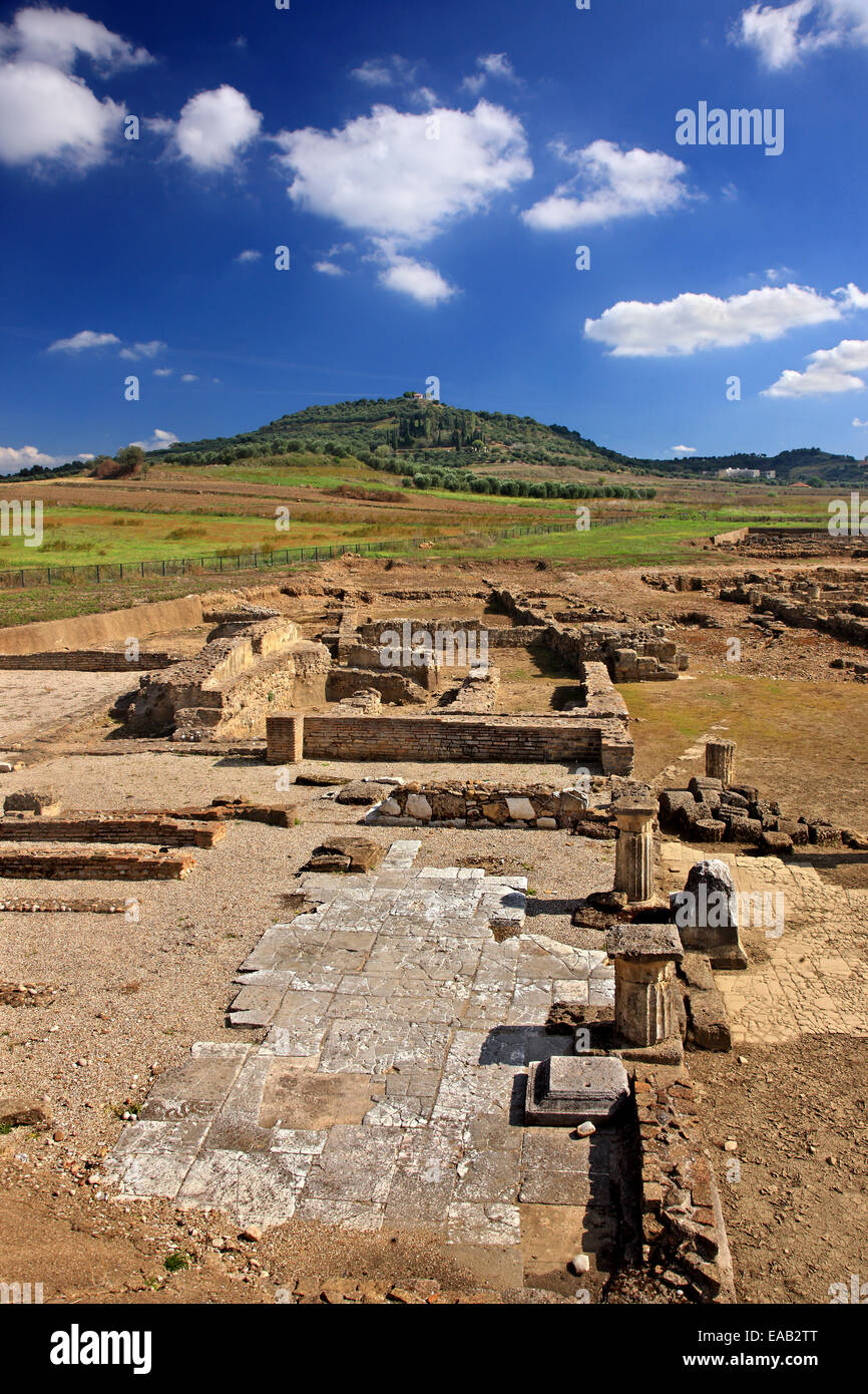 Ruins of the ancient city -state of Elis ("Ilida"), host city of the ...