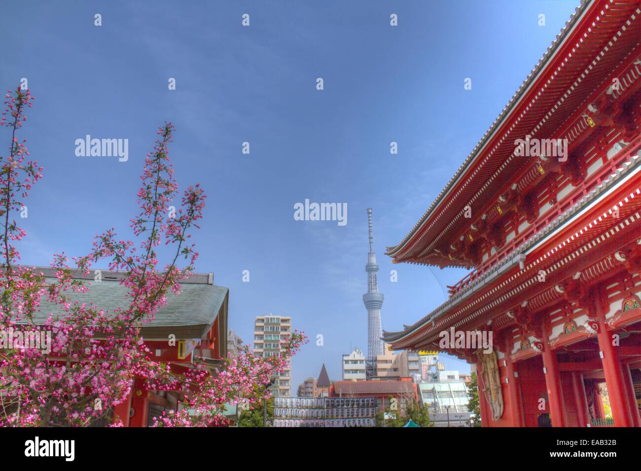 Asakusa Sensoji-temple and tokyo sky tree Stock Photo - Alamy