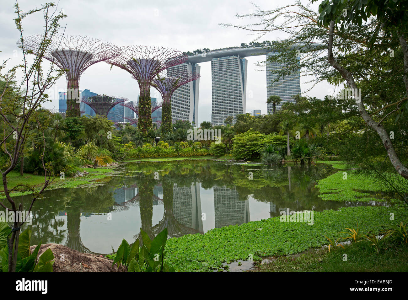 Marina Bay Sands casino resort / hotel, rising beside artificial trees ...