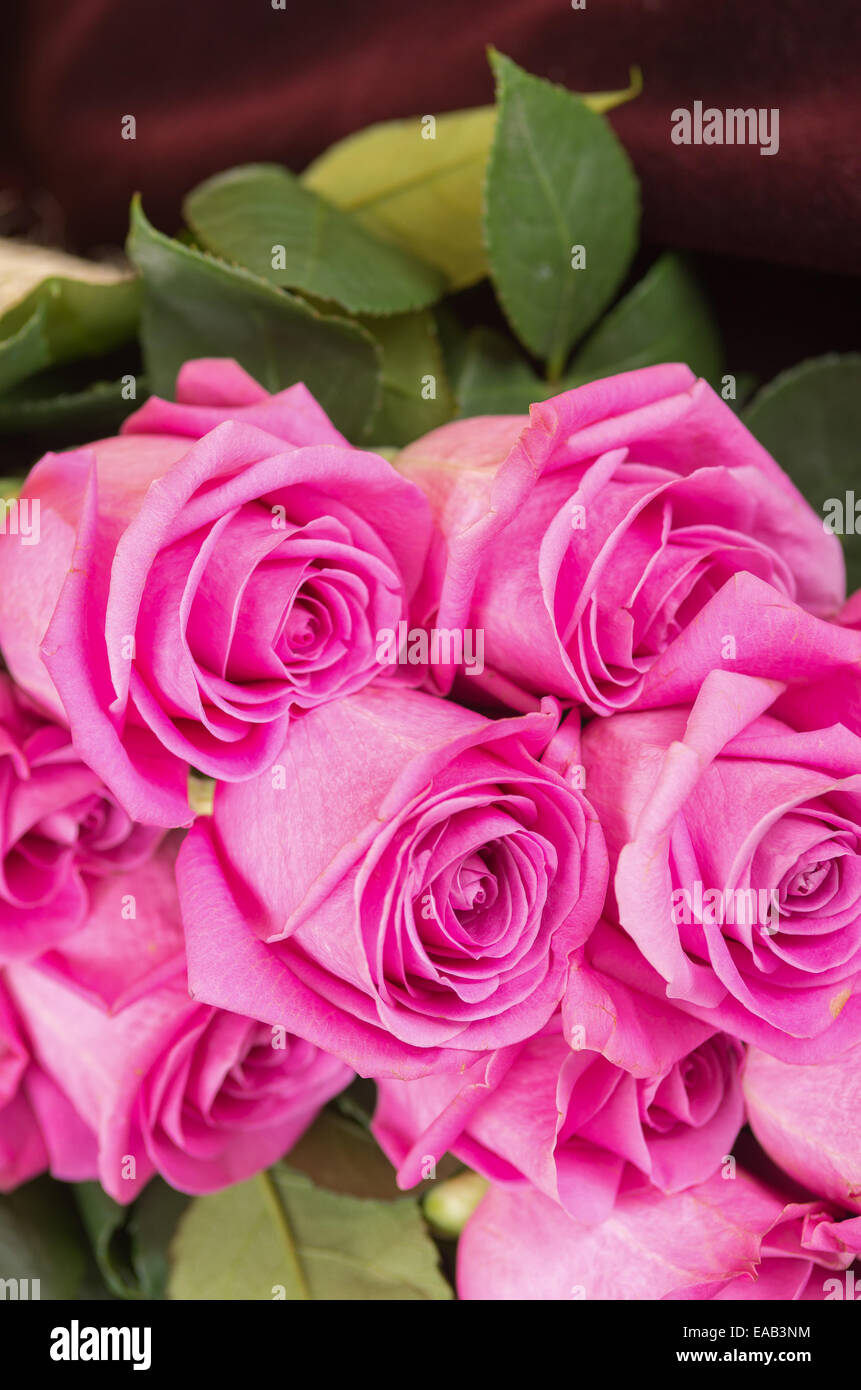 romantic bouquet of Ecuadorian pink roses Stock Photo - Alamy