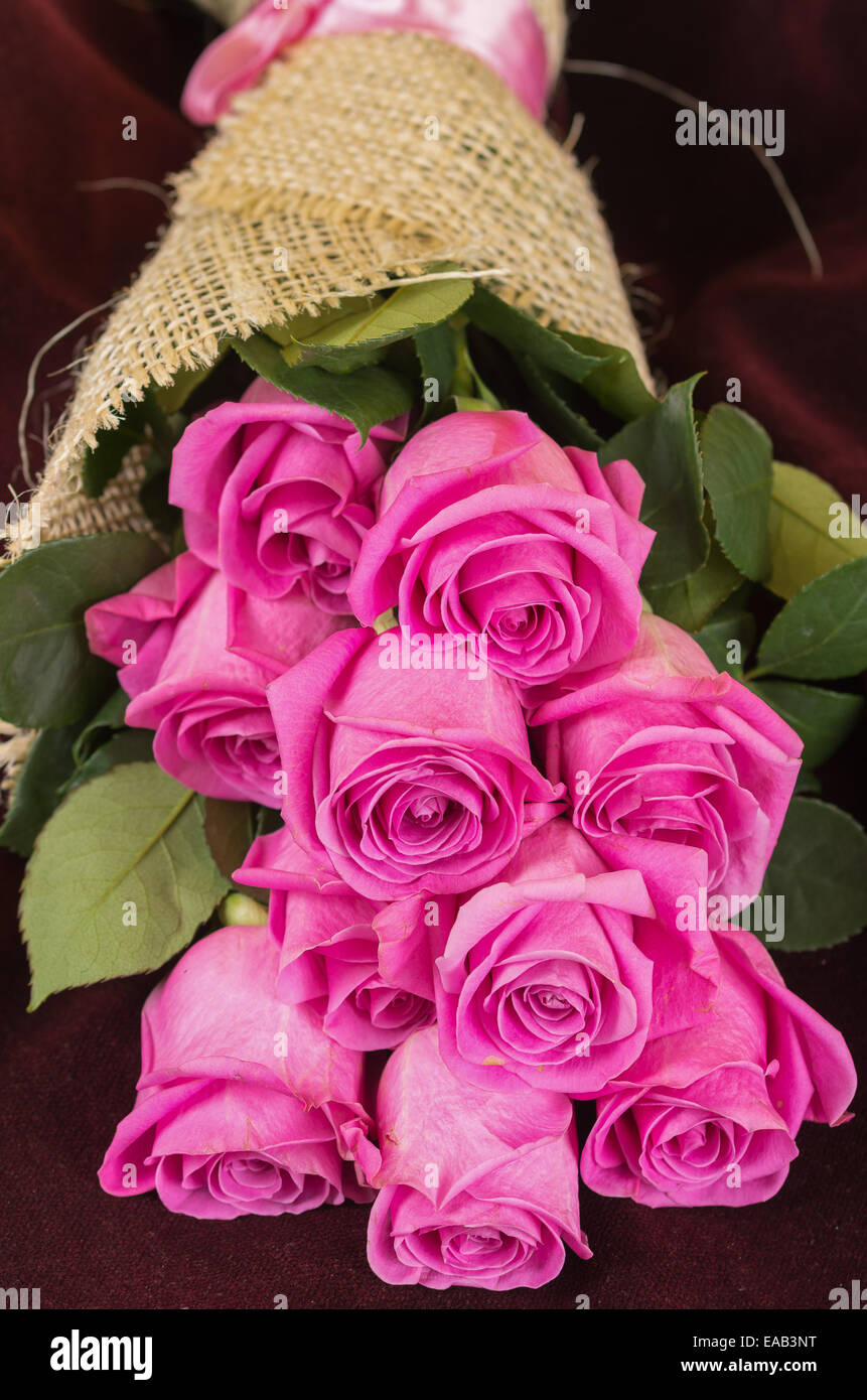 Ecuadorian Rose High Resolution Stock Photography and Images - Alamy