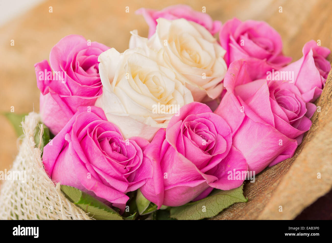Beautiful bouquet of Ecuadorian pink and white roses Stock Photo - Alamy