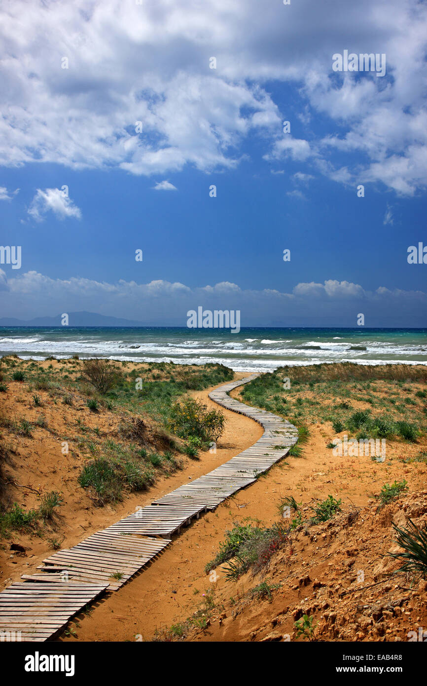 Wooden path to the beach of Loutra Kyllinis, Ileia, Peloponnese, Greece ...