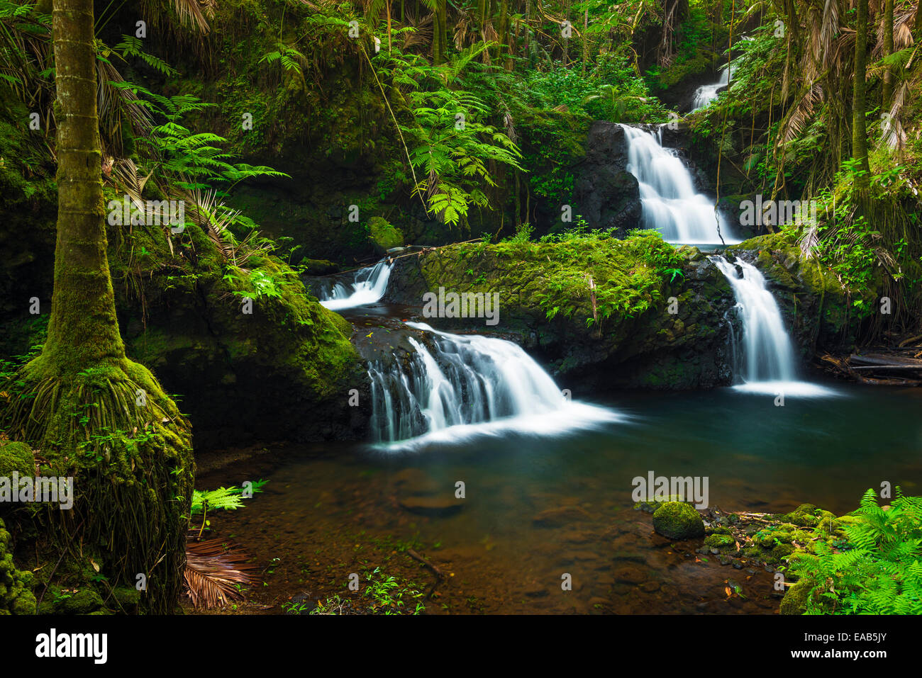 Onomea Waterfalls, Hawaii Tropical Botanical Garden, Hamakua Coast, The ...