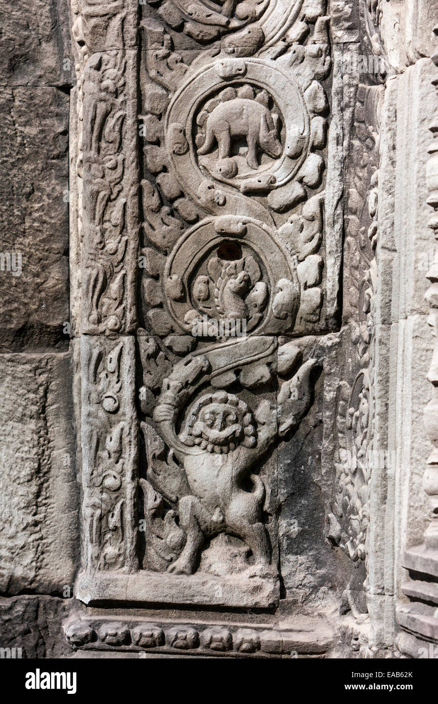 Cambodia. Ta Prohm Temple Ruins, 12th-13th. Century. Apparent ...