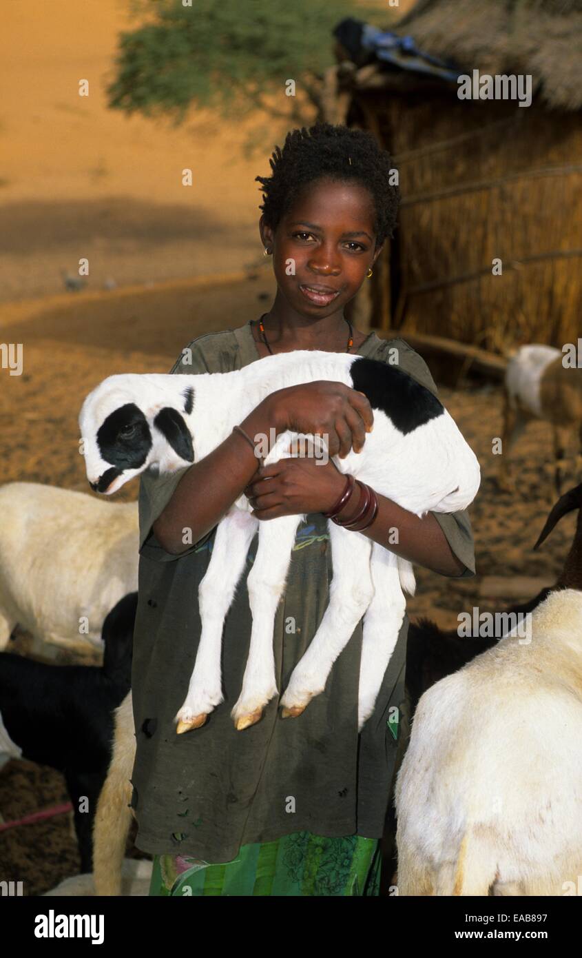 Young girl holding lamb (Sahel goat), village close to Lompoul desert ...
