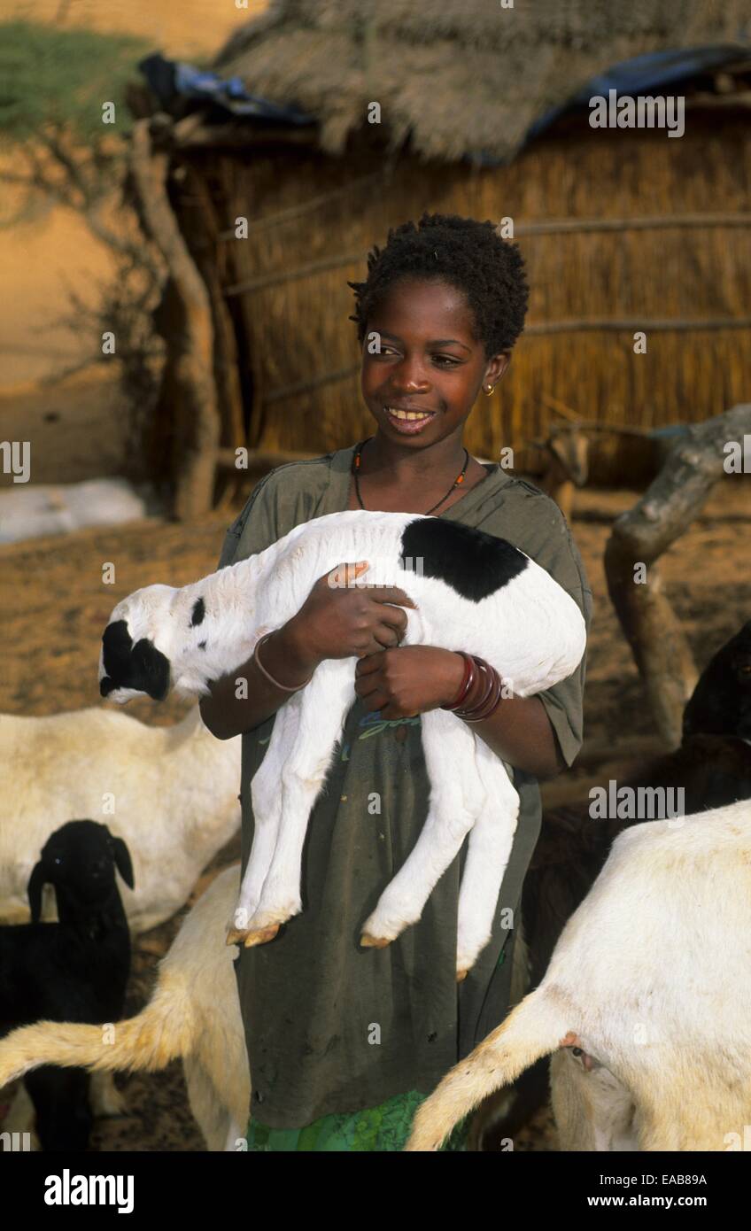 Young girl holding lamb (Sahel goat), village close to Lompoul desert ...