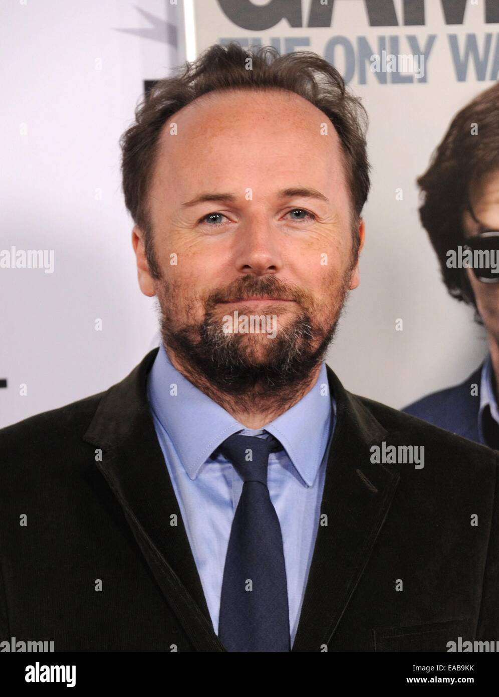 Los Angeles, CA, USA. 10th Nov, 2014. Rupert Wyatt at arrivals for THE ...