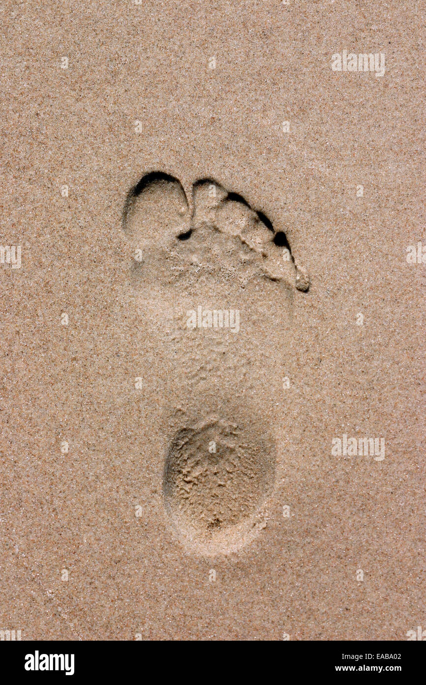 Single human footprint on the beach sand Stock Photo - Alamy