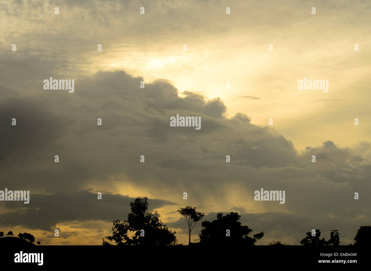 The Storm Cloudy Sky Before Raining in Evening Stock Photo - Alamy