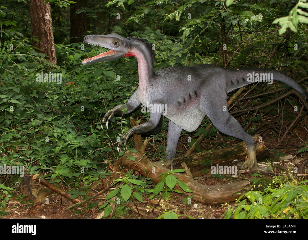 Troodon Size