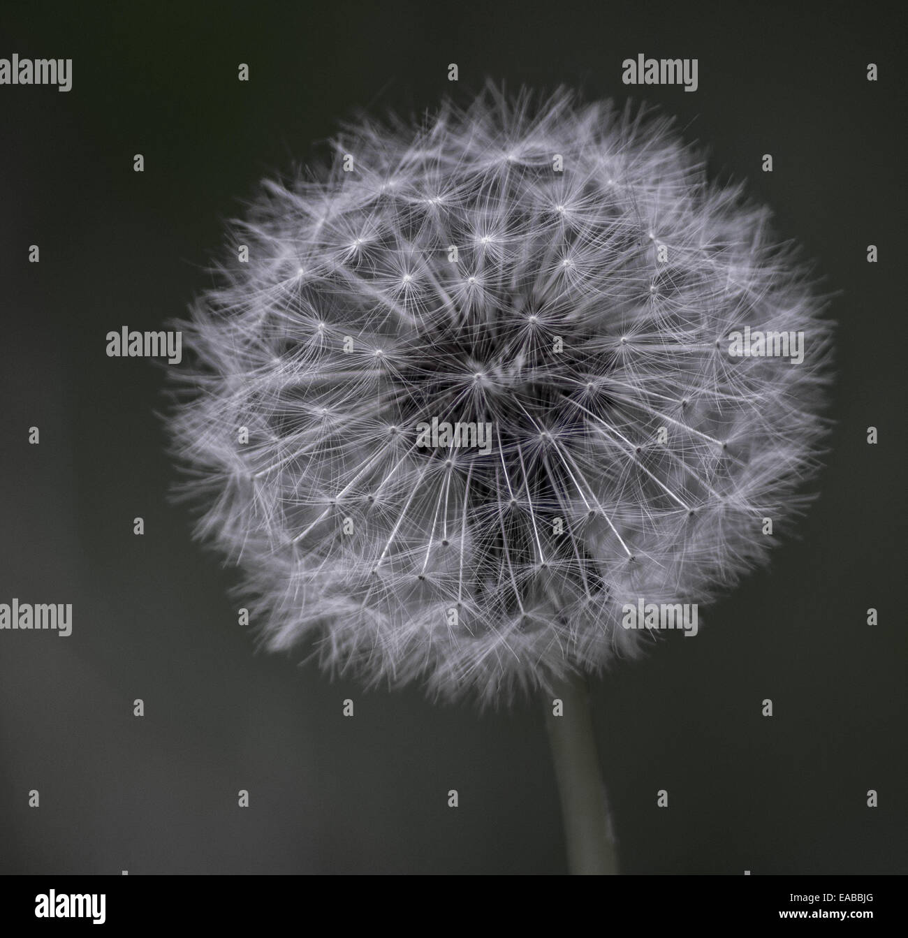 Dream wind hi-res stock photography and images - Alamy