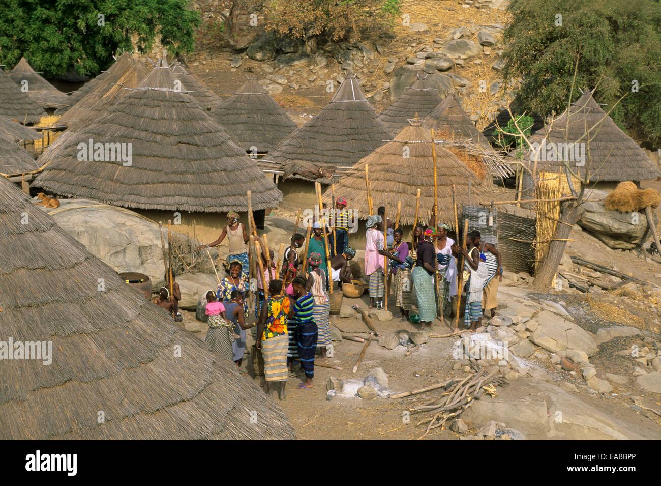 Village Bedik with women pounding millet, Bassari country, Senegal ...