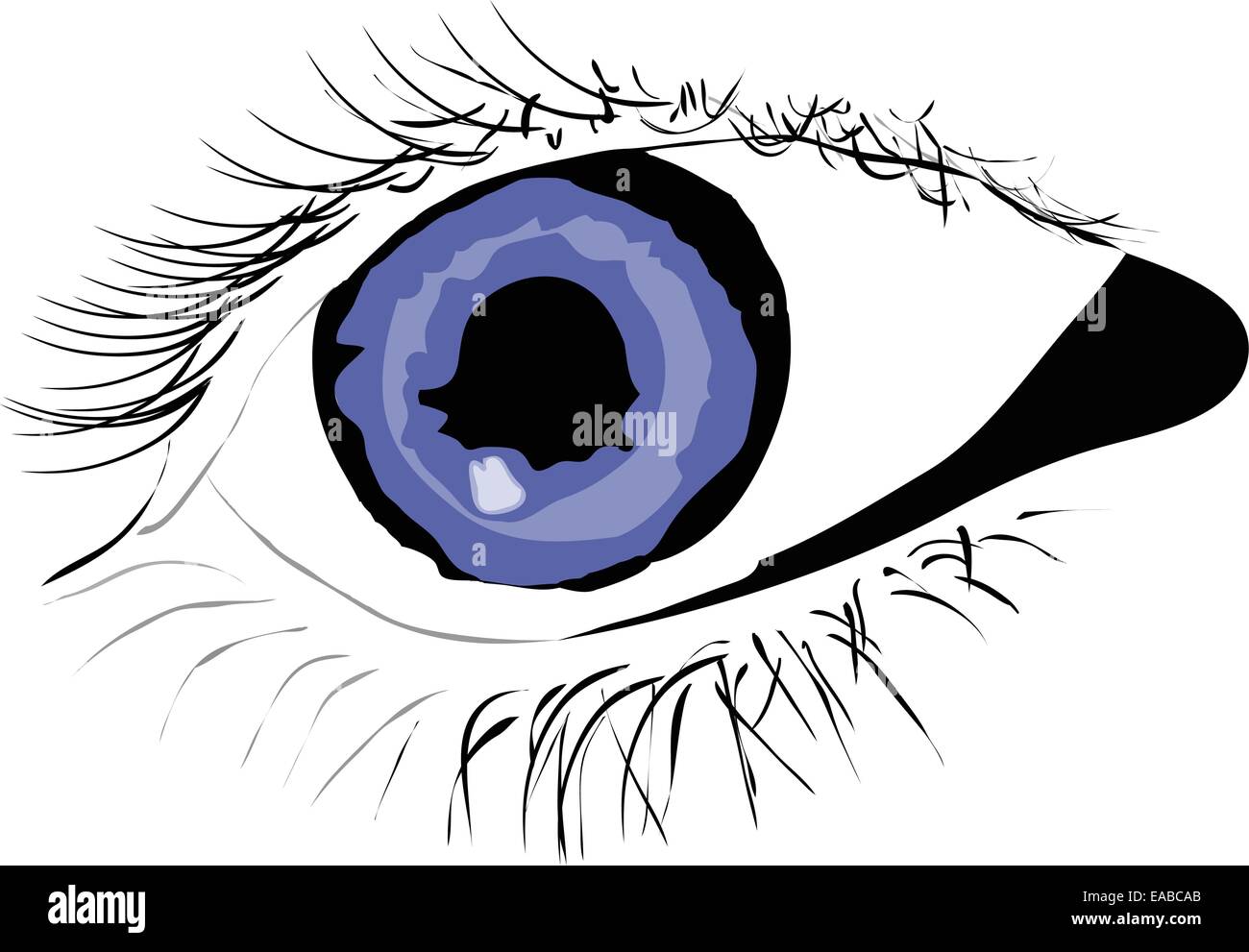 Persons vector vectors hi-res stock photography and images - Alamy