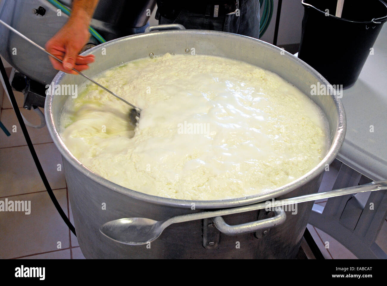 White cheese home making Stock Photo - Alamy