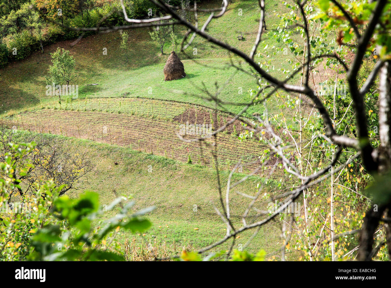Maramures County, Romania Stock Photo - Alamy