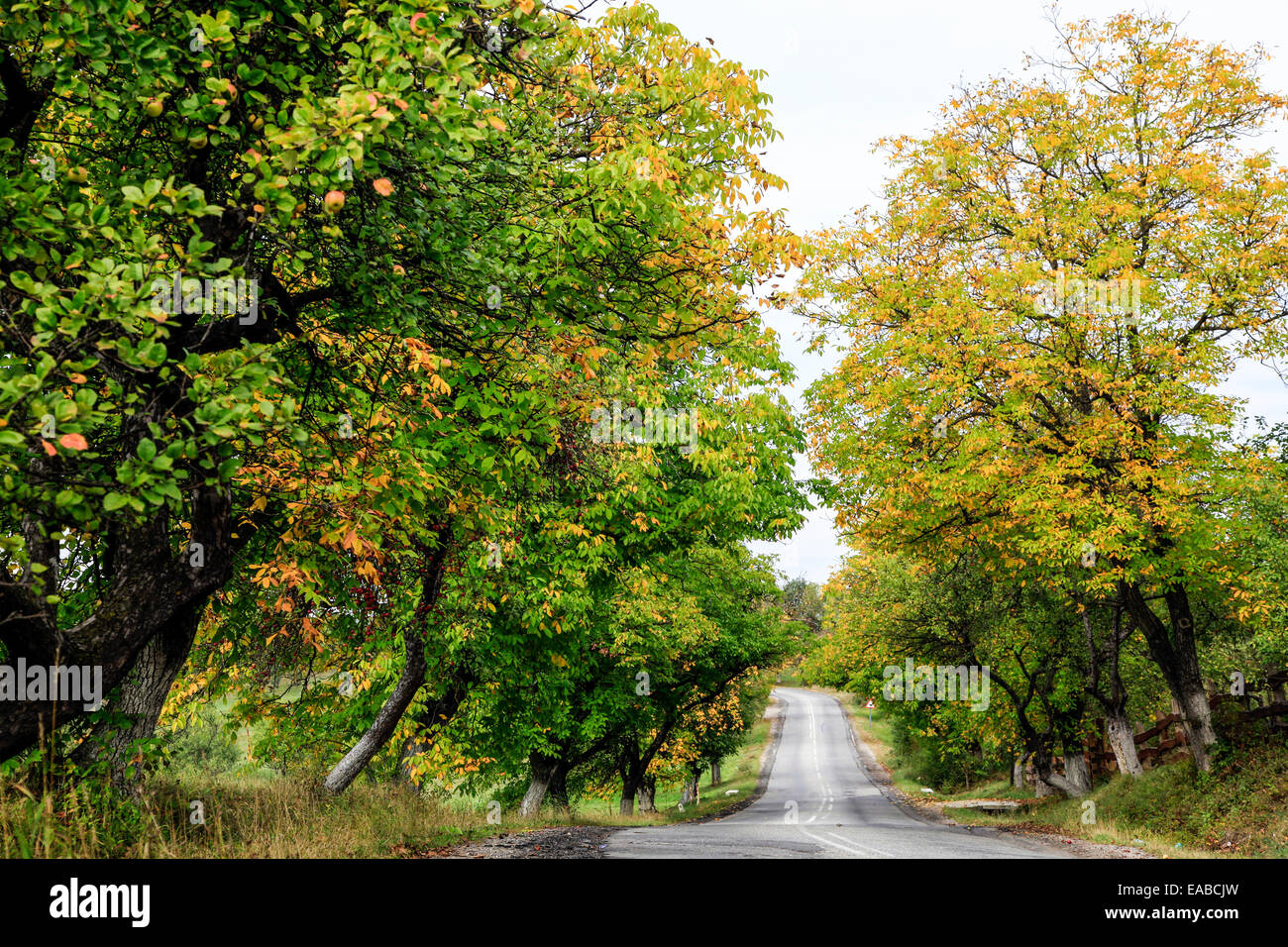 Maramures County, Romania Stock Photo - Alamy