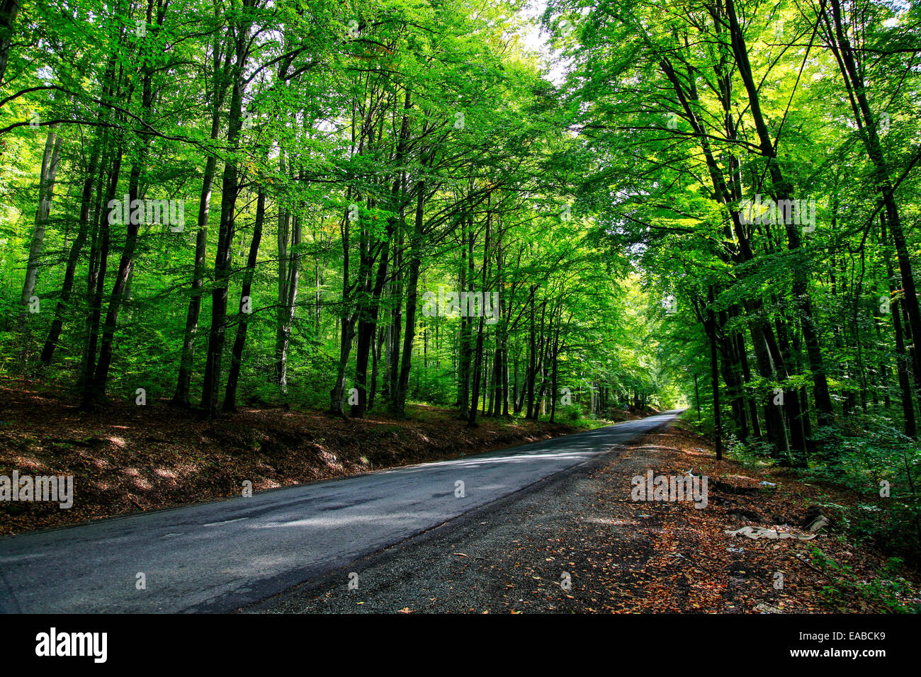 Maramures County, Romania Stock Photo - Alamy