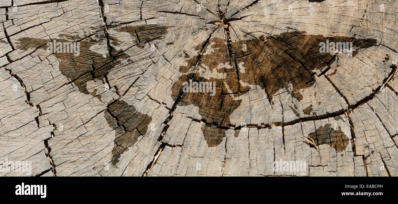 world map trunk texture Stock Photo - Alamy